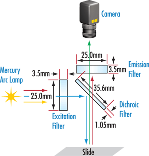 Fluorescence Filter Set for SpectrumGold | Edmund Optics